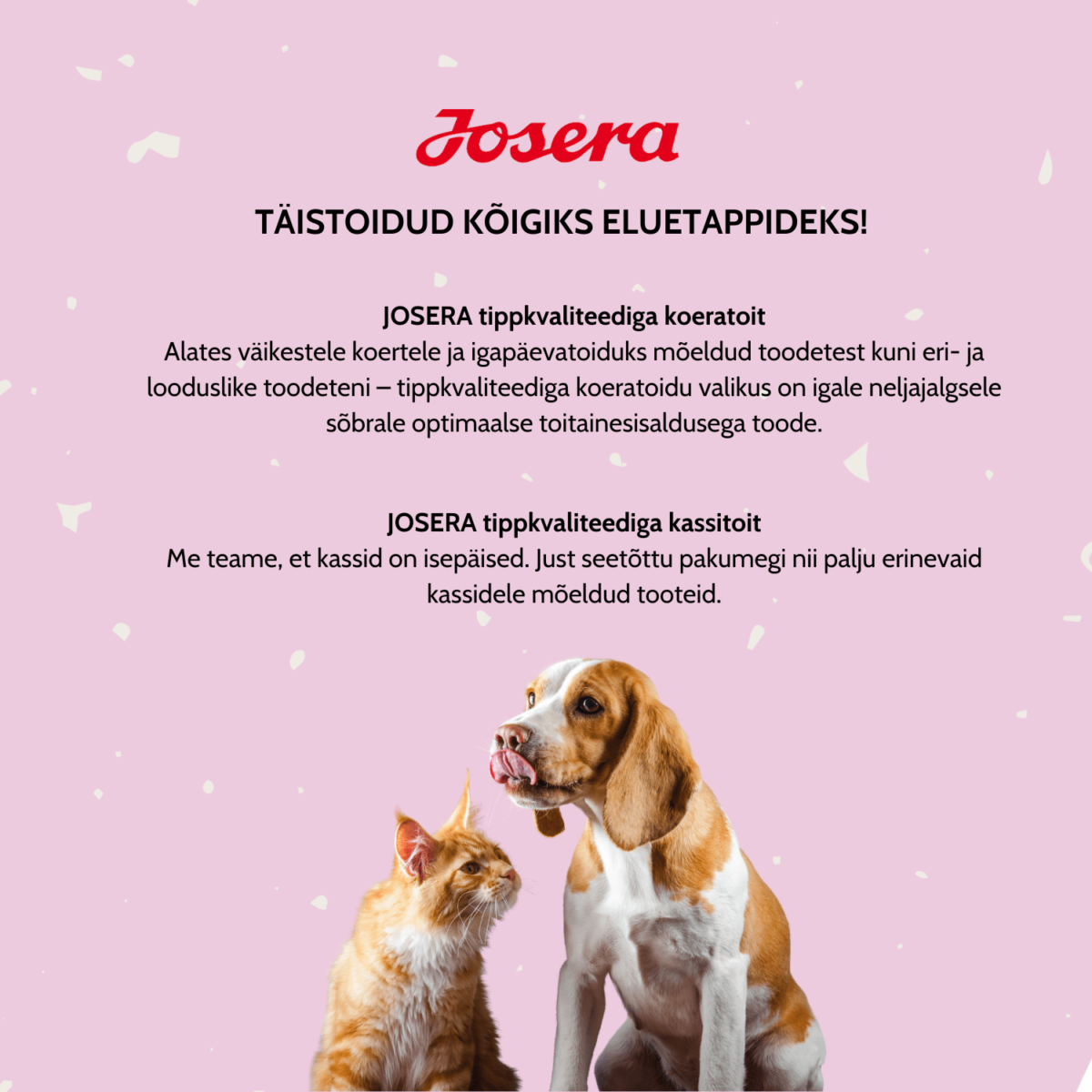 Kassidkoerad.ee lemmikloomapood - parim valik Sinu lemmikule